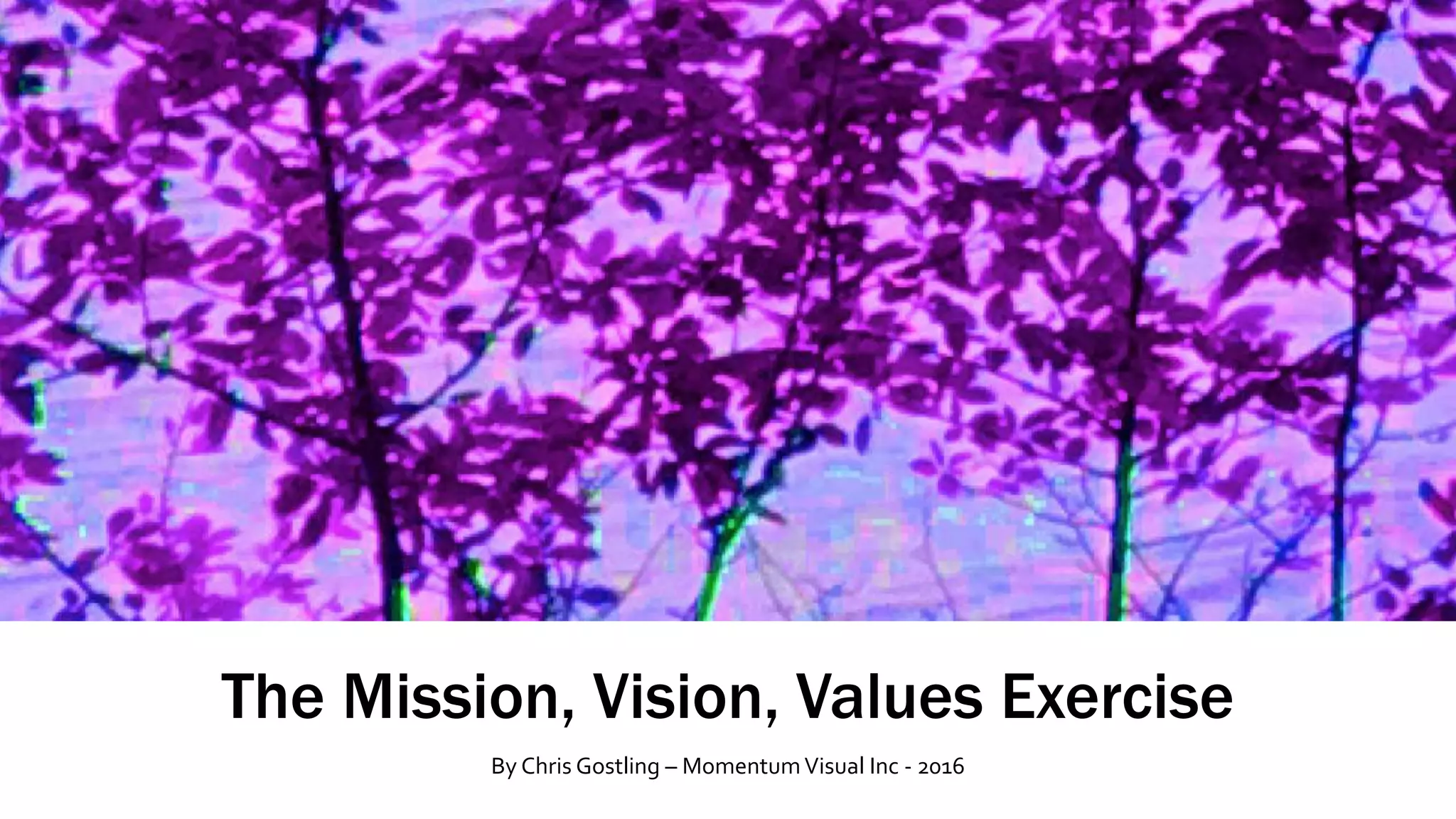 The Mission, Vision, Value Exercise | PPTX