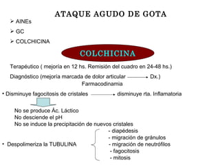 Teorico de Gota | PPT