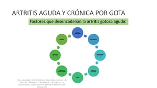 GOTA Y PSEUDOGOTA.pptx
