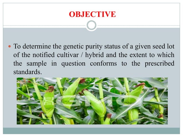 Grow out test | PPTX | Agriculture | Industries