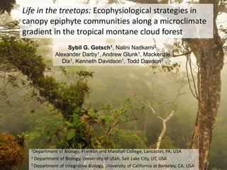 Gotsch, Sybil | PDF | Weather | Science