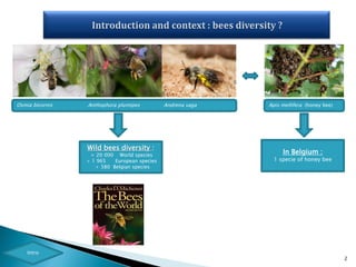 Phylogenetic diversity of wild bees in Brussels | PDF | Beekeeping | Hobbies & Interests