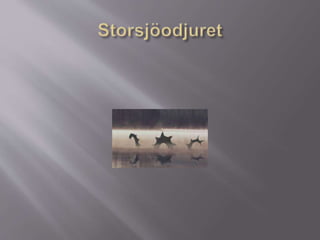 GOTW#12 Sjöödjur | PPT