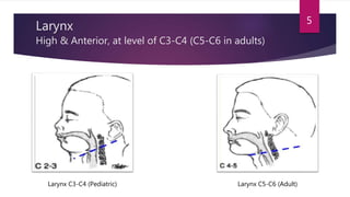 Differences between Paediatric and Adult airway | PPTX