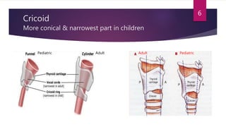 Differences between Paediatric and Adult airway | PPTX