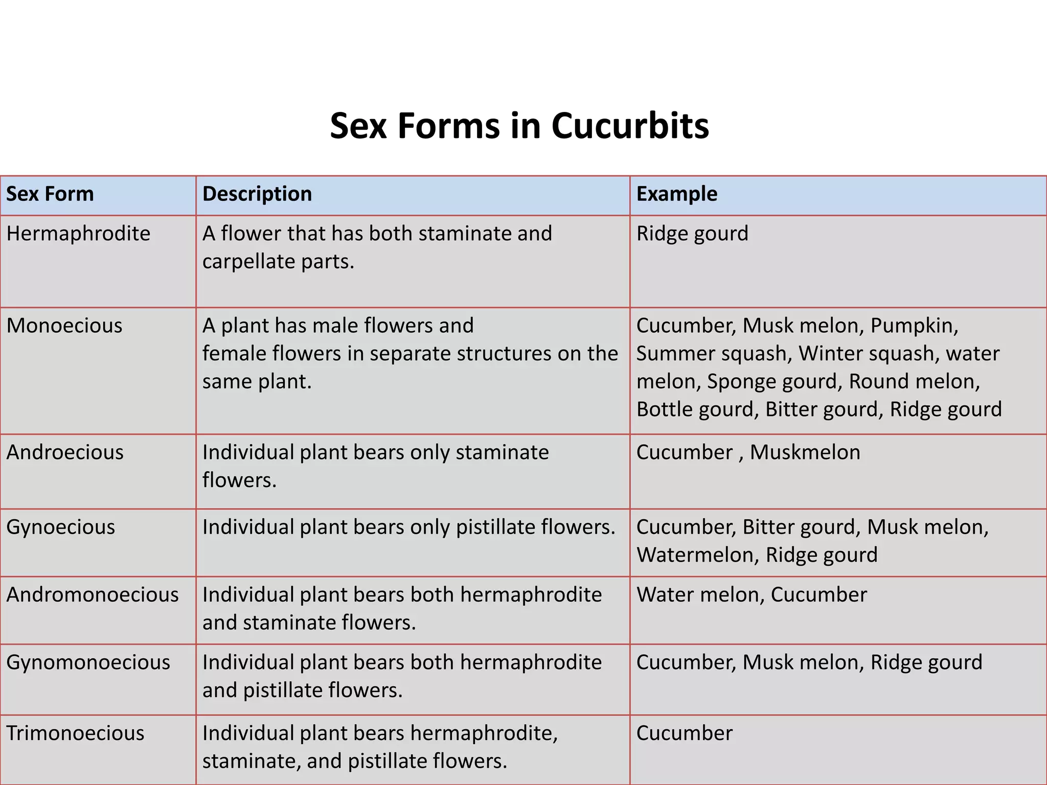 Gourd ppt | PPTX