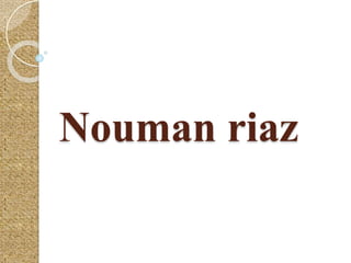 Gourmet bakers | PPTX