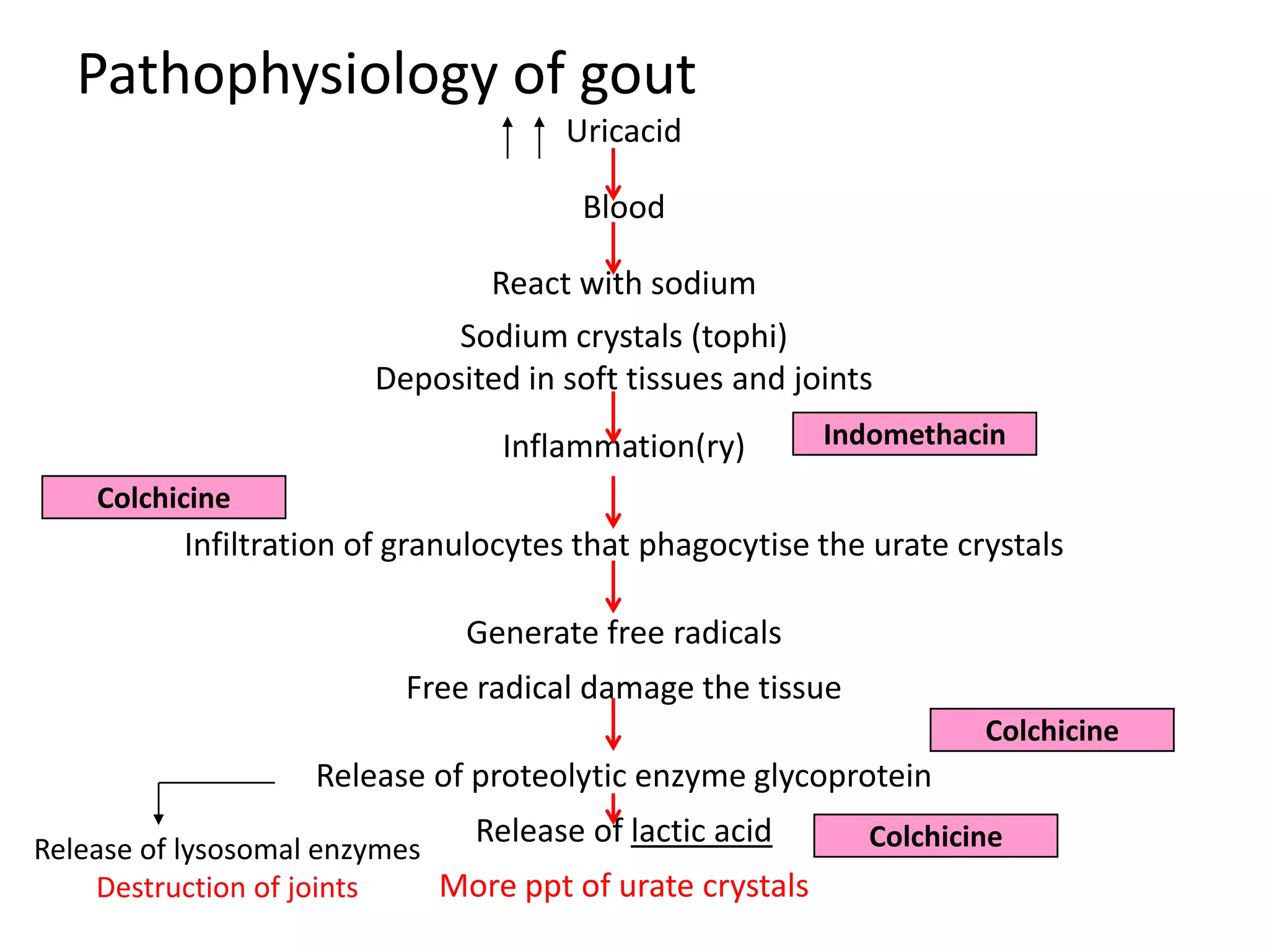 Gout | PPTX