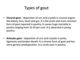 Gout in poultry | PPTX | Chemistry | Science
