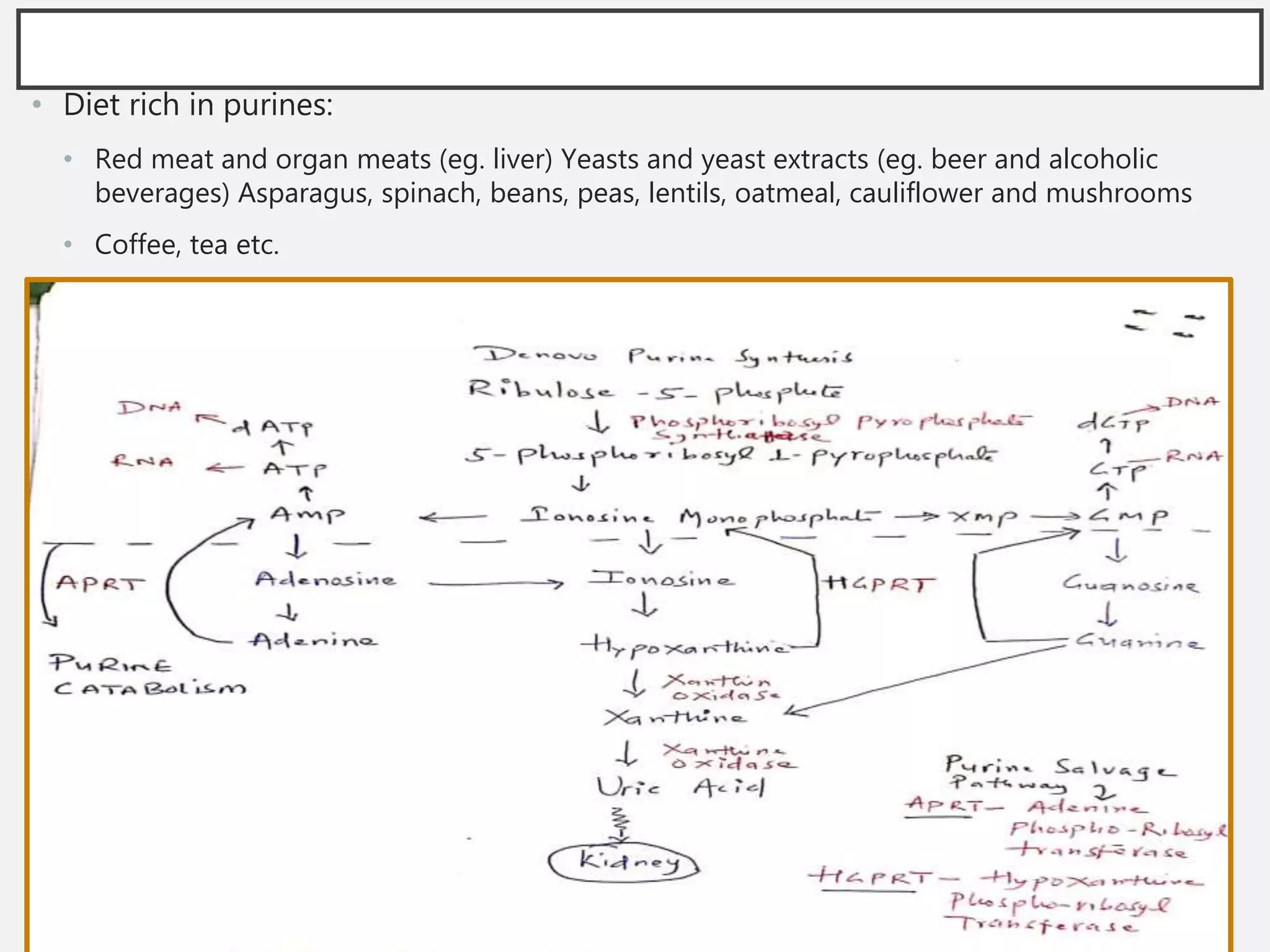 Pathophysiology of Gout | PPTX