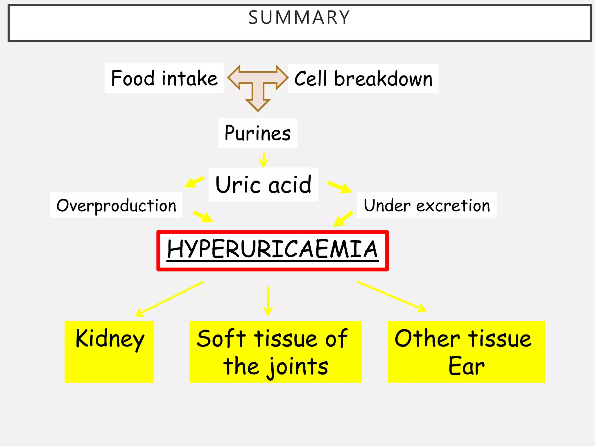 Pathophysiology of Gout | PPTX