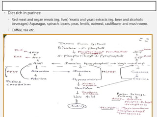 Pathophysiology of Gout | PPTX