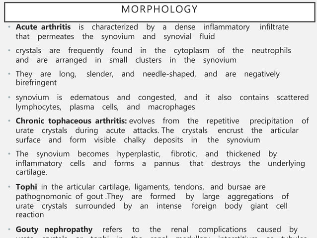 Pathophysiology of Gout | PPT