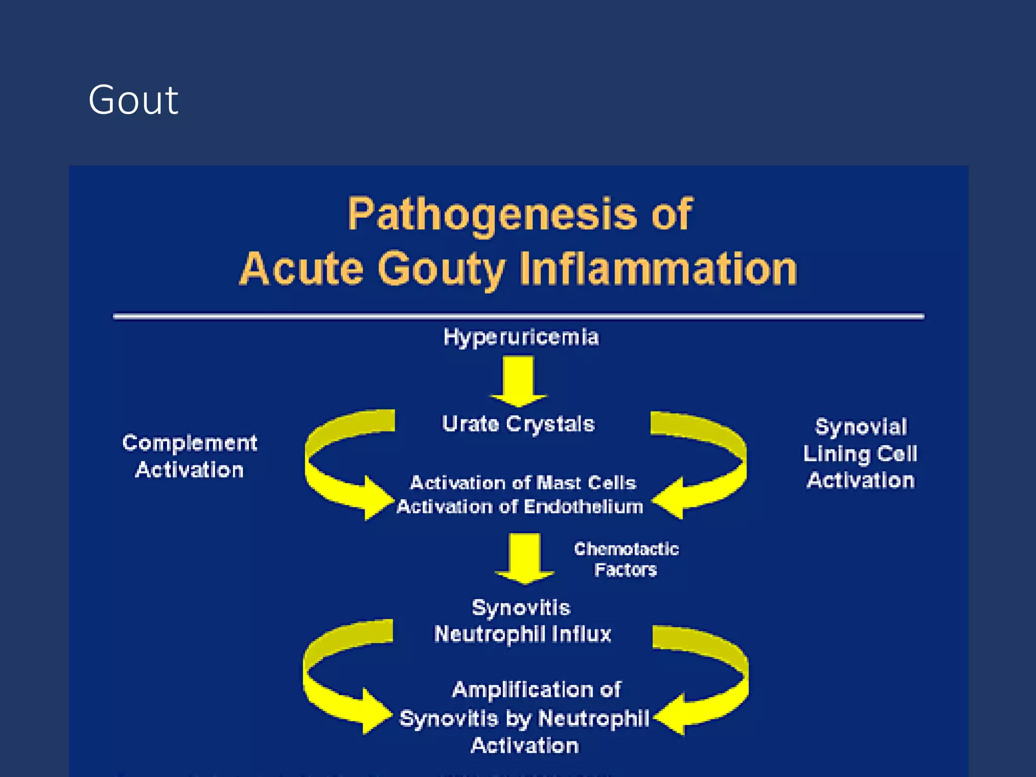 Gout (drug and treatment ) | PPTX