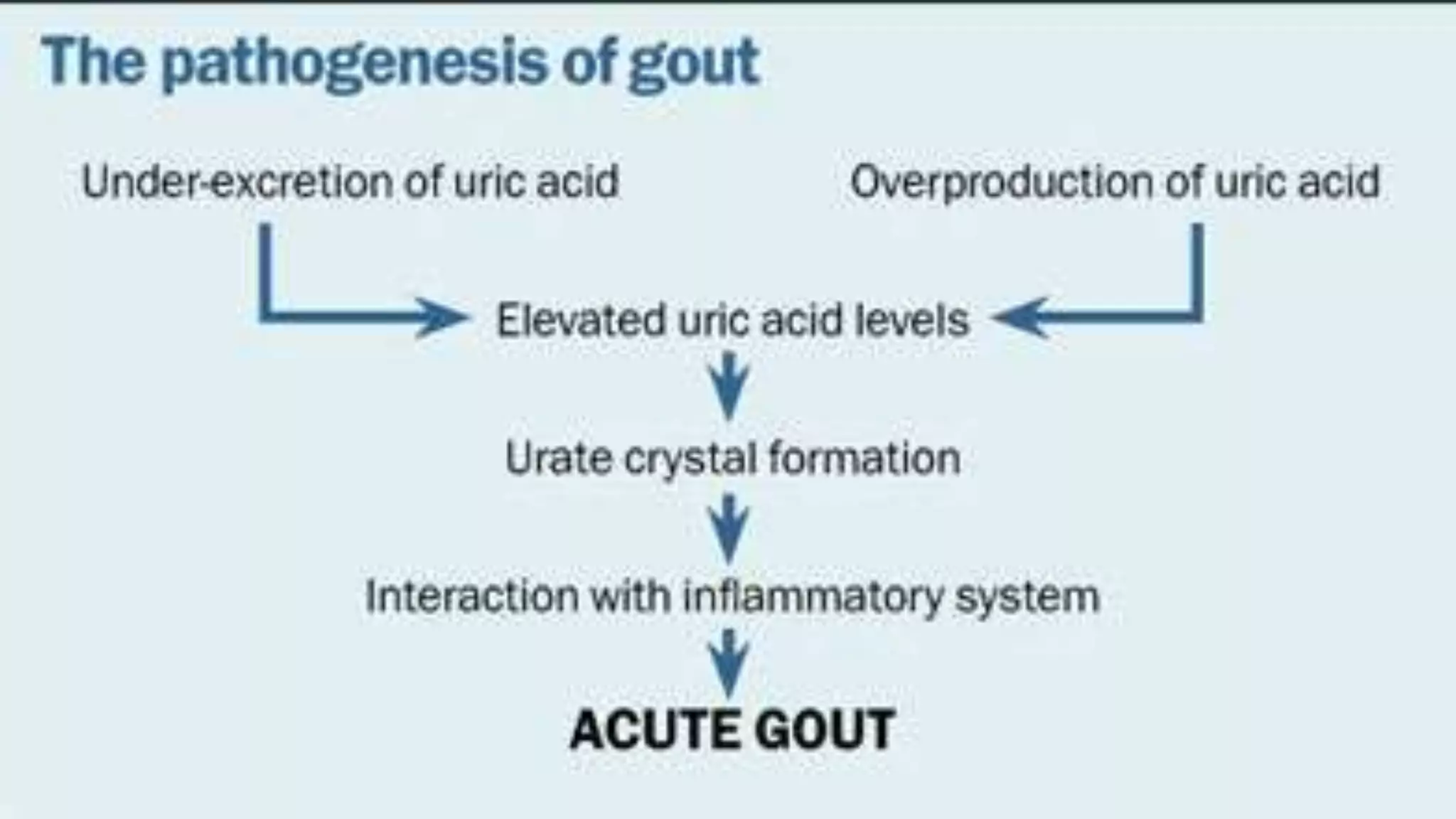 Gout | PPTX