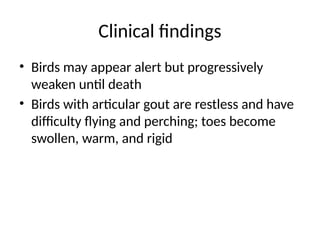 Gout.pptx Gout disease information...... | PPT