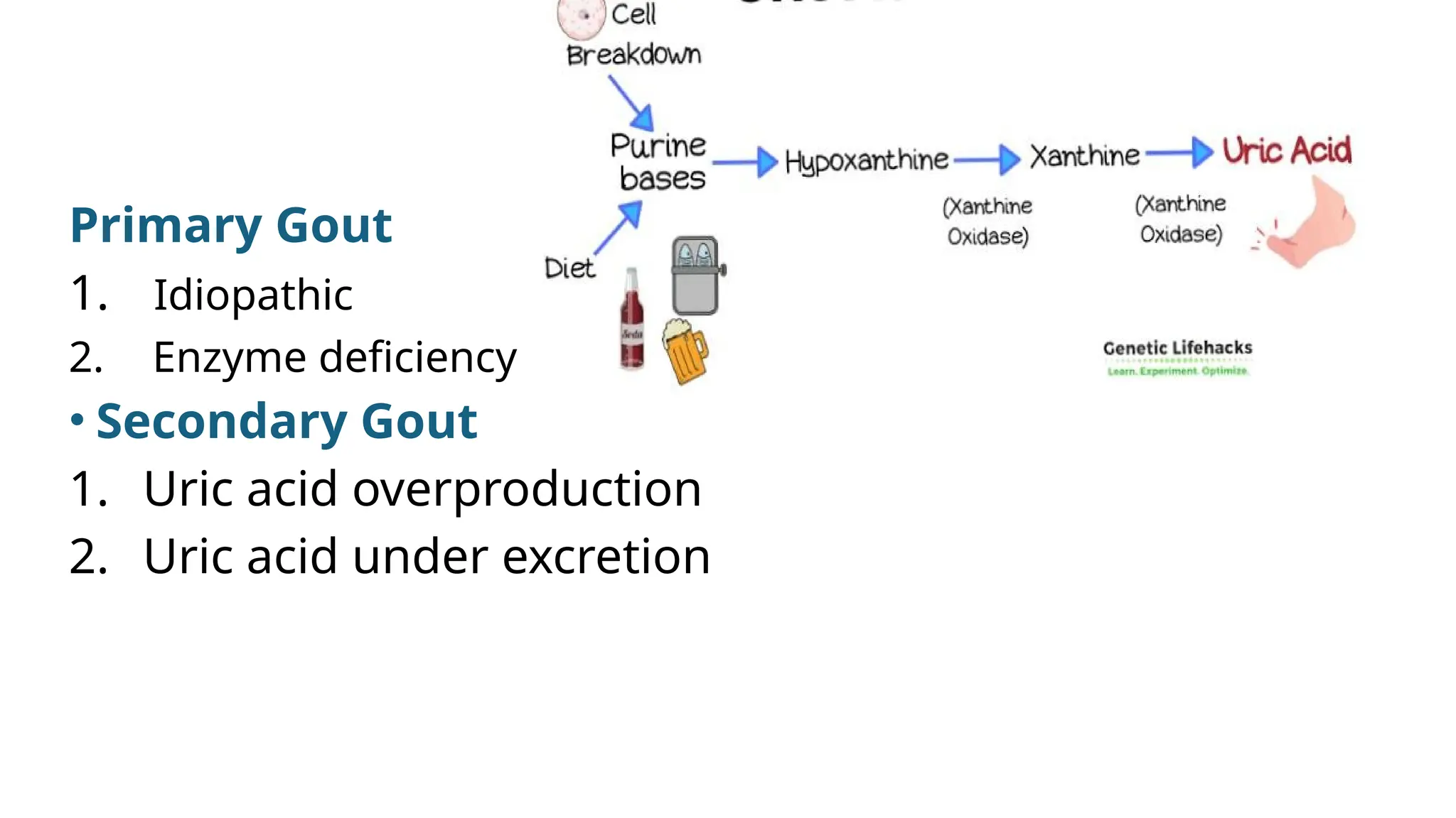 GOUT.definition, causes, pathogenesis, risk factor, clinical features, investigation, treatment ...