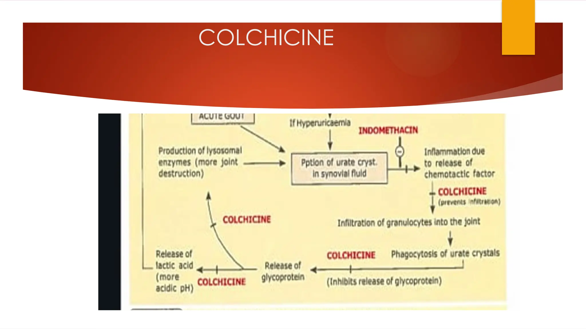 GOUT Definition Pathogenesis Clinical Features Treatment | PPT | Free ...