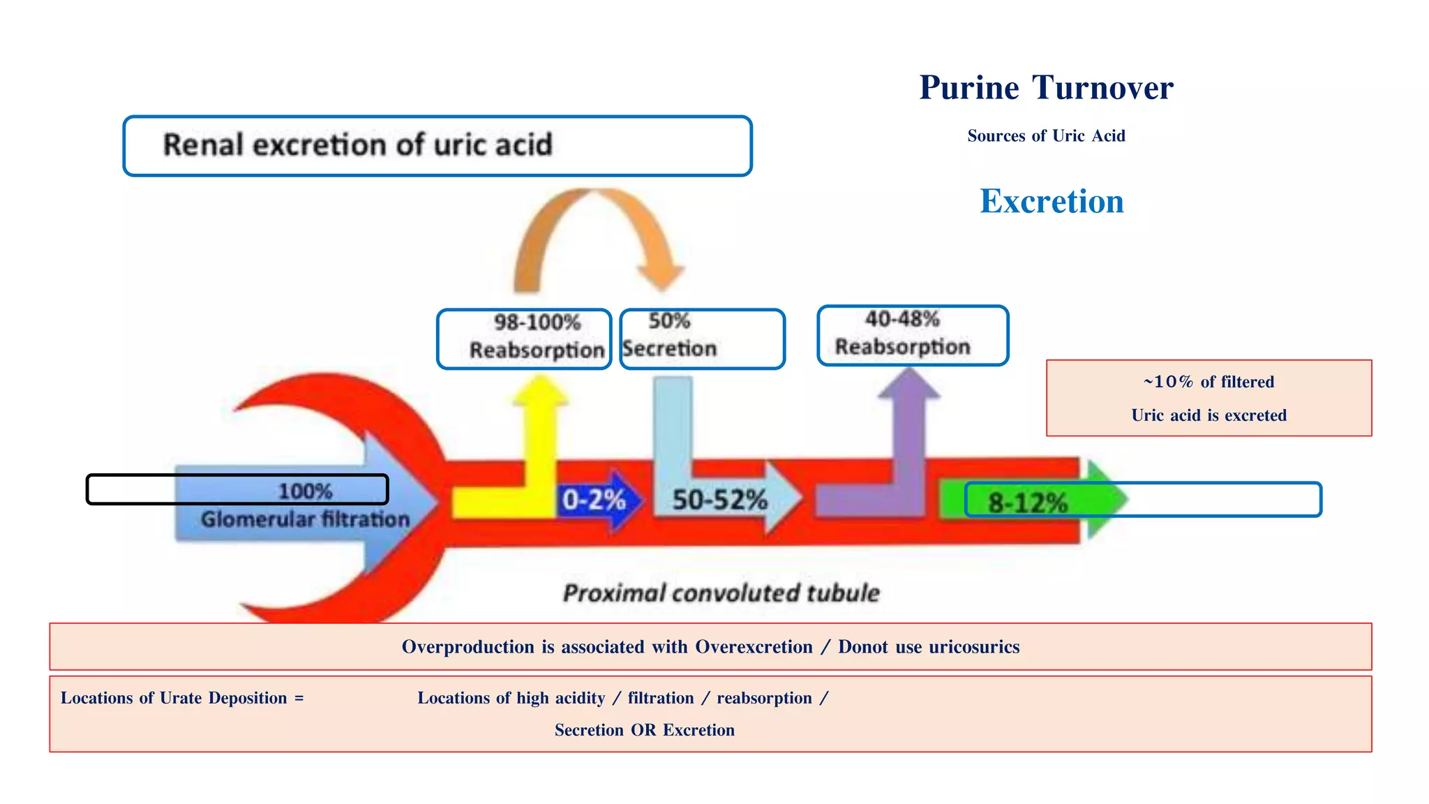 Gout hyperuricemia-classification-zagazig | PPTX
