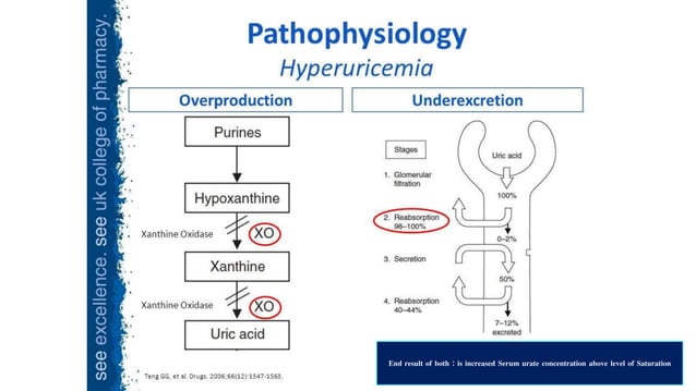 Gout hyperuricemia-classification-zagazig | PPTX