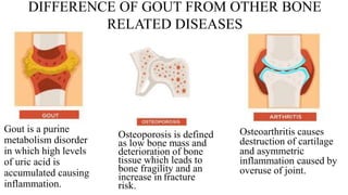 GOUT- mital parmar.pptx | Bone and Joint Conditions | Diseases and Conditions