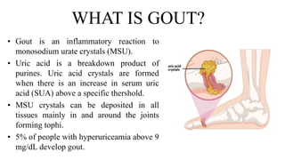 GOUT- mital parmar.pptx | Bone and Joint Conditions | Diseases and Conditions