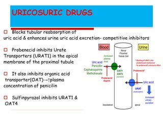 gout and K disorde5r..................pptx
