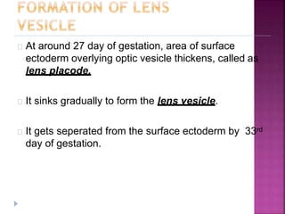 Development of lens | PPTX