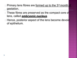 Development of lens | PPTX