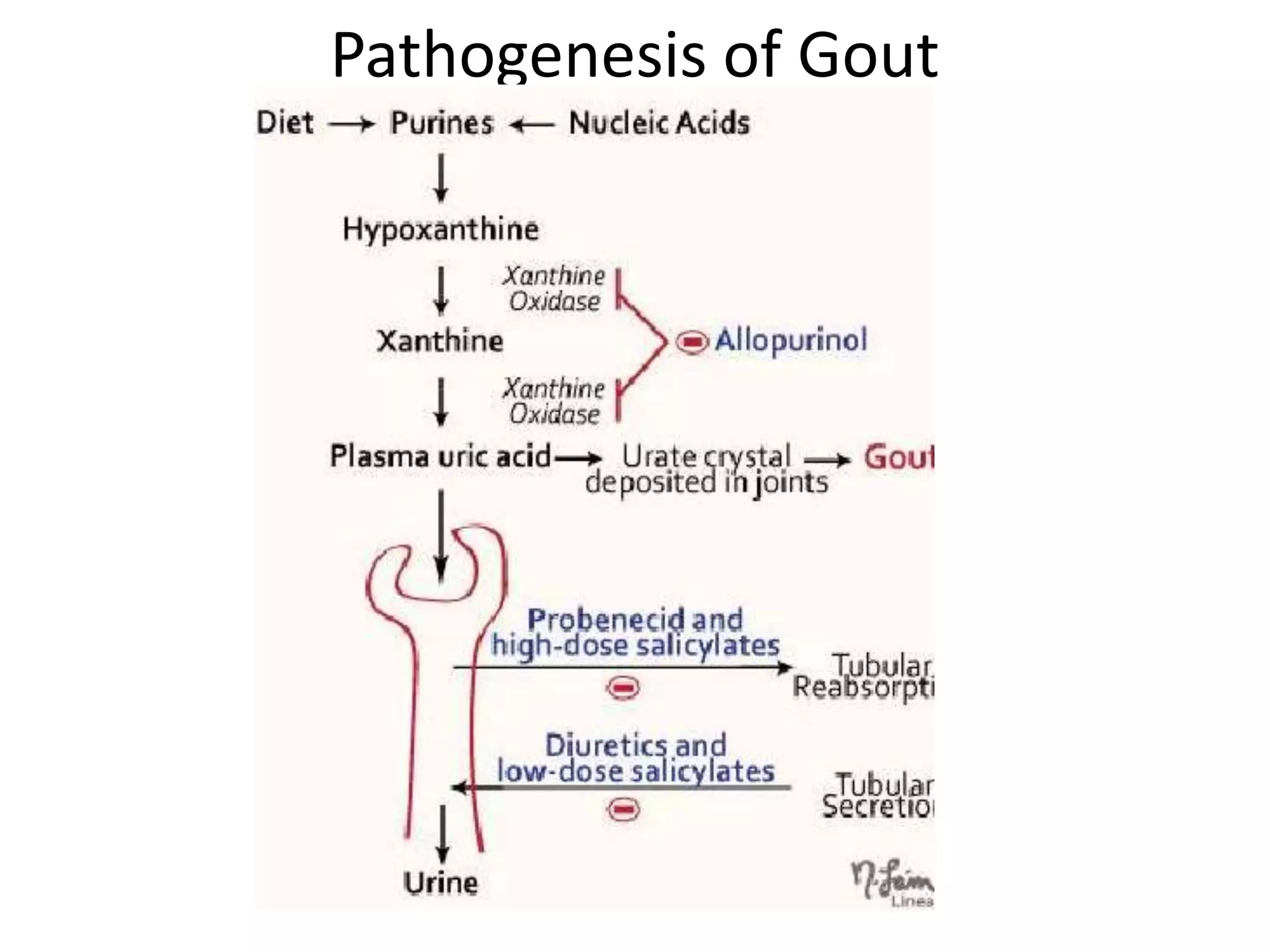 Gout pharmacotherapeutics.pptx