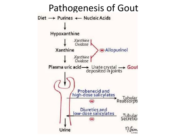 Gout pharmacotherapeutics.pptx