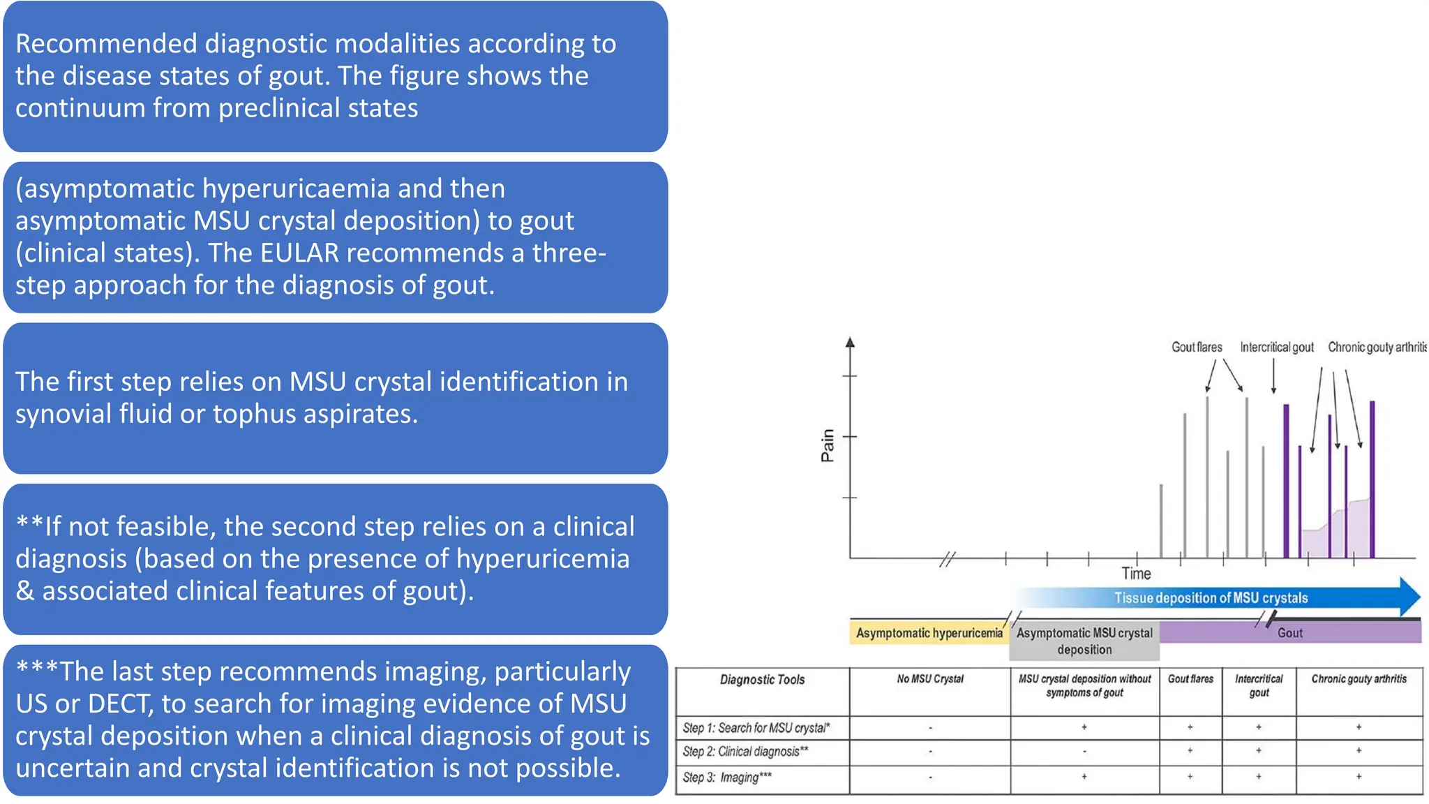 GOUT UPDATE AHMED YEHIA 2024, case based approach with application of ...