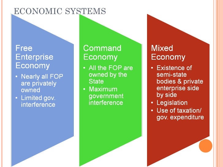 Government & the Economy