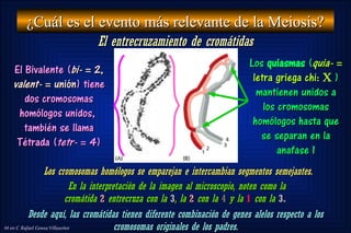 Divisiones Celulares v2_2 | PDF