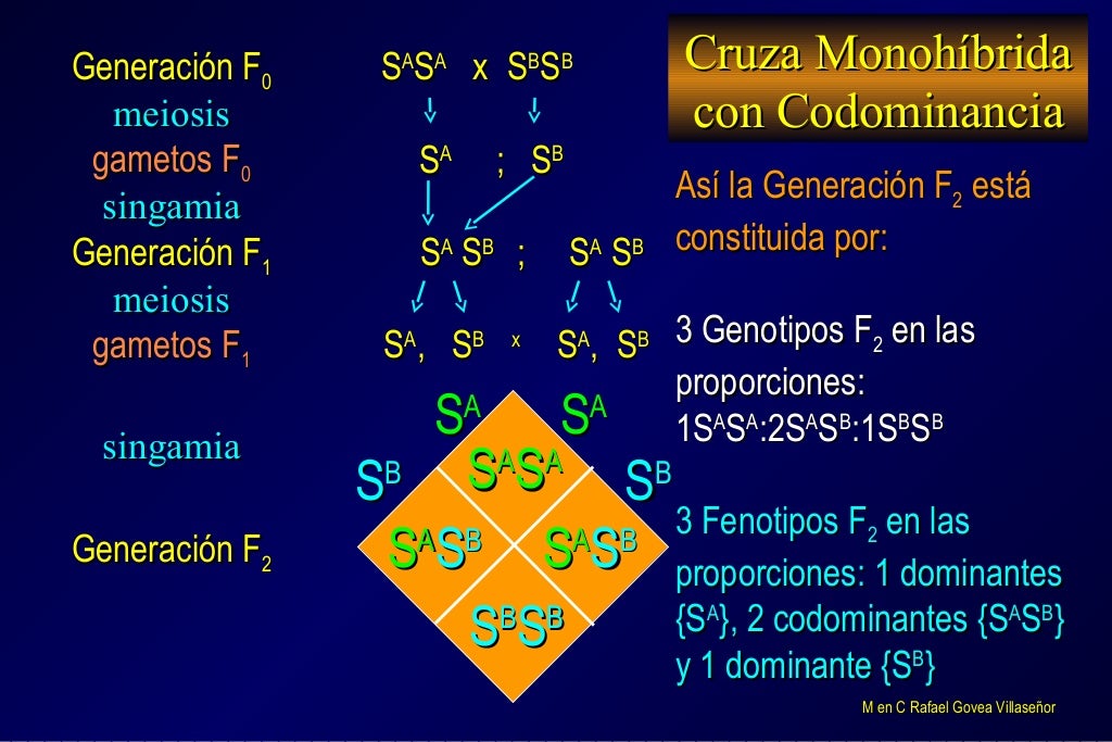Cruza con Codominancia