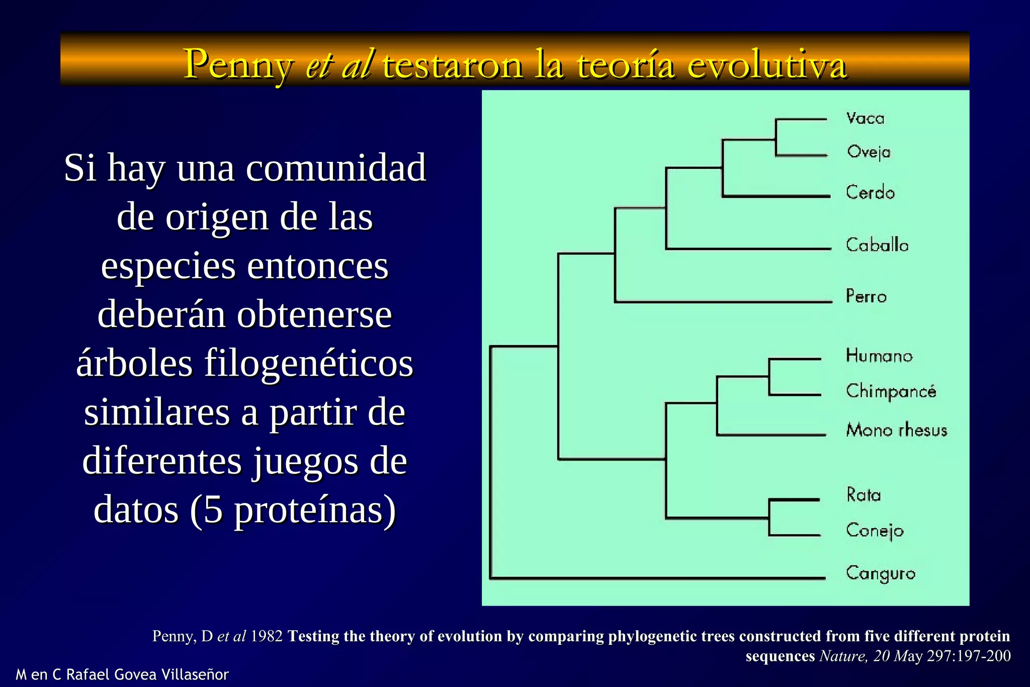 Pruebas de la Evolución | PPT