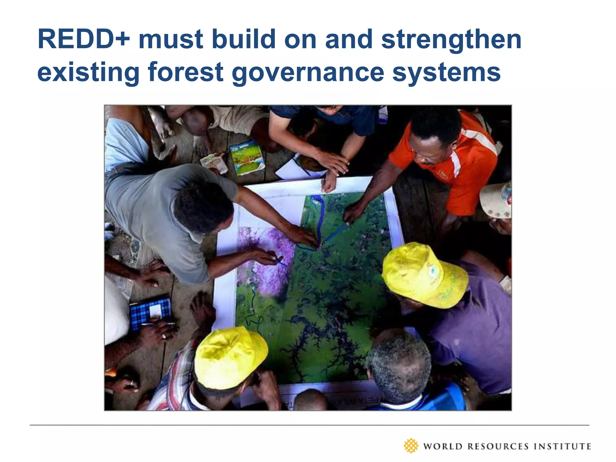 Governance of Forests Initiative: Forum Overview | PPTX