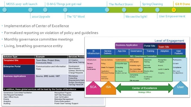 Governance from the Trenches -- Sony Electronics Case Study
