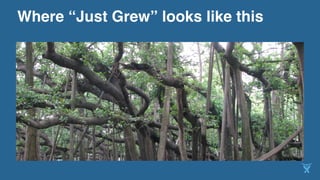 Governing JIRA at Scale - Jordan Dea-Mattson | PDF