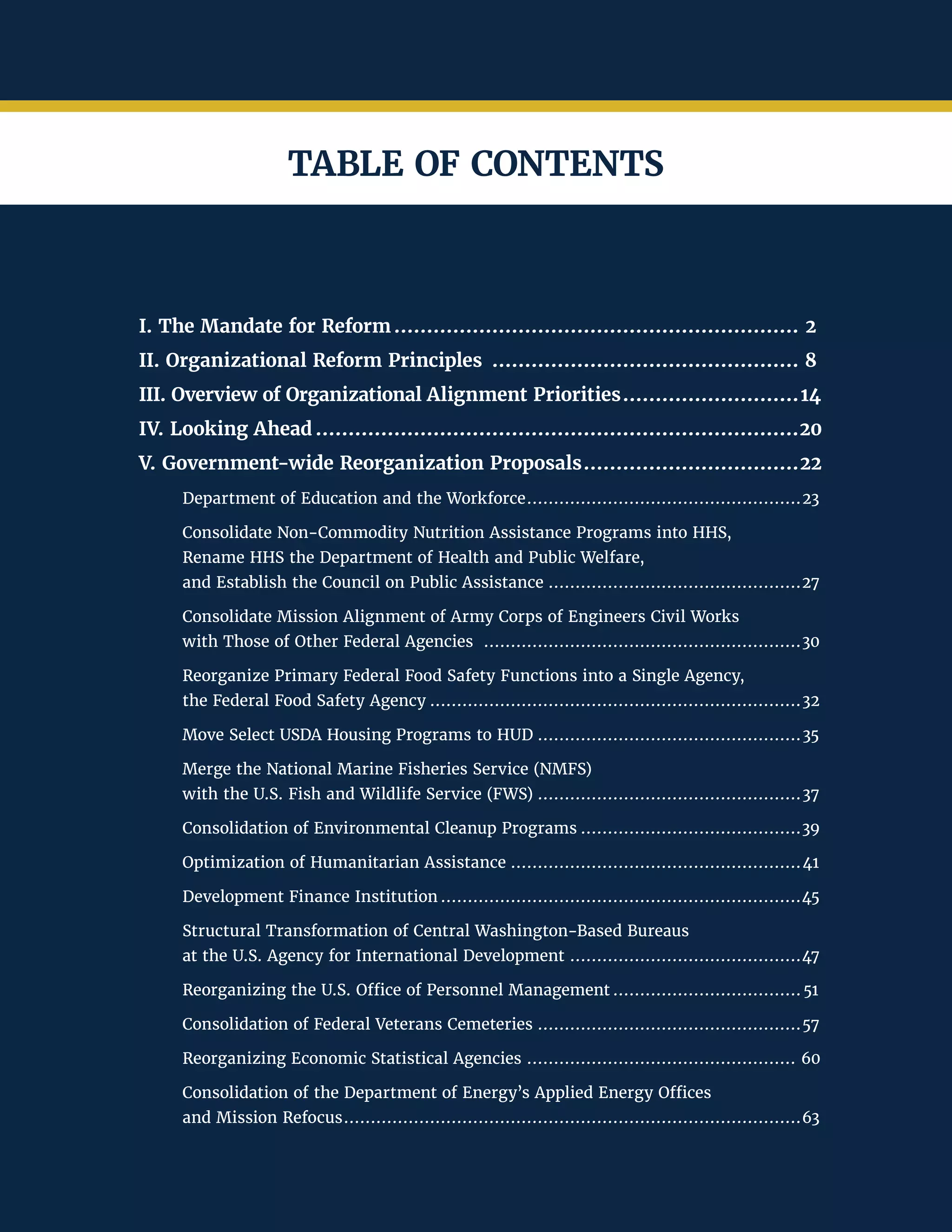 Government reform-and-reorg-plan | PDF