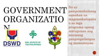 Government and non government organizations | PPTX