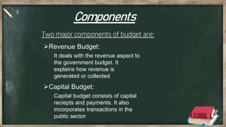 Government Budg-WPS Office.pptx