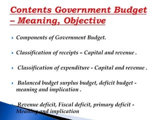 Government budget | PPTX