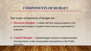 Government budget | PPTX