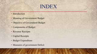 Government budget | PPTX