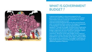 Government Budget | PDF