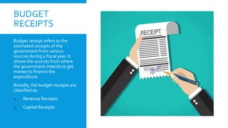 Government Budget | PDF