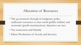 Government budget | PPTX