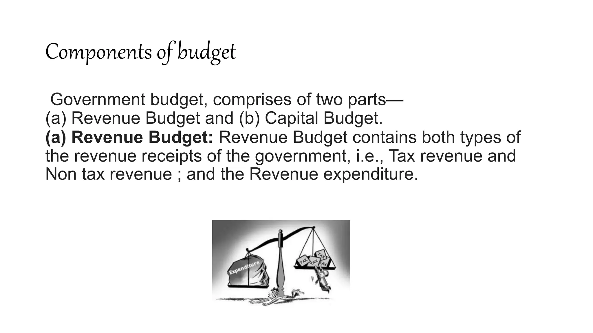 Government budget.pptx.................. | PPTX