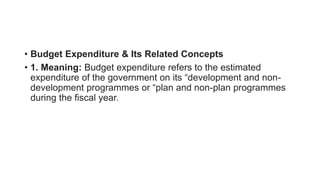 Government budget.pptx.................. | PPTX